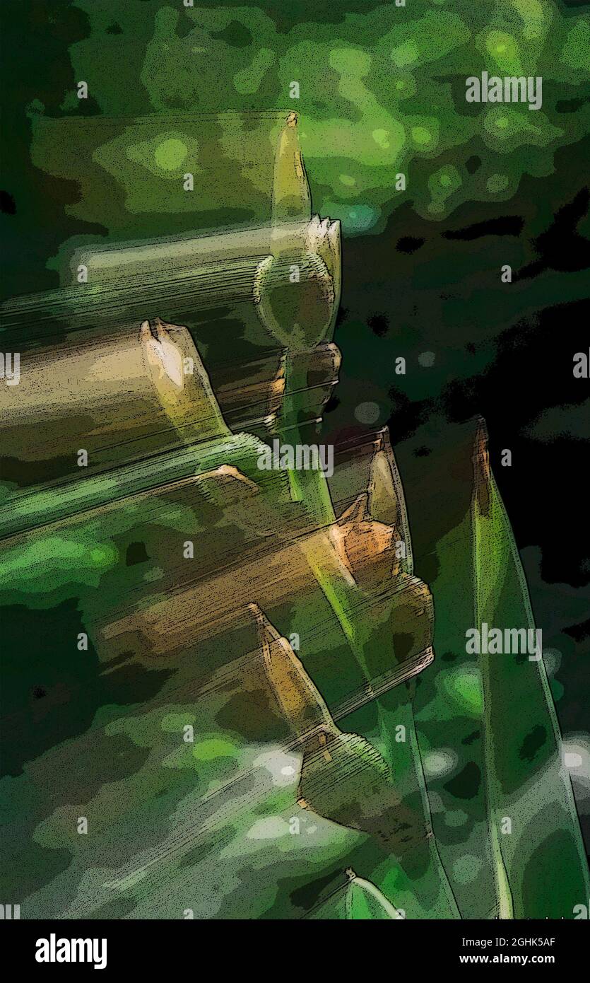 abstract background for frame, decoration Stock Photo - Alamy