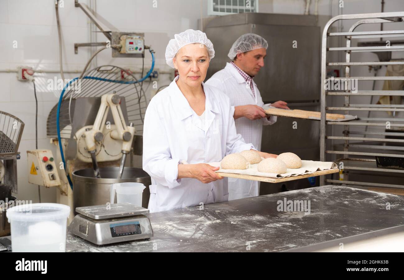 Woman kneading dough bread manufacturing hi-res stock photography and ...
