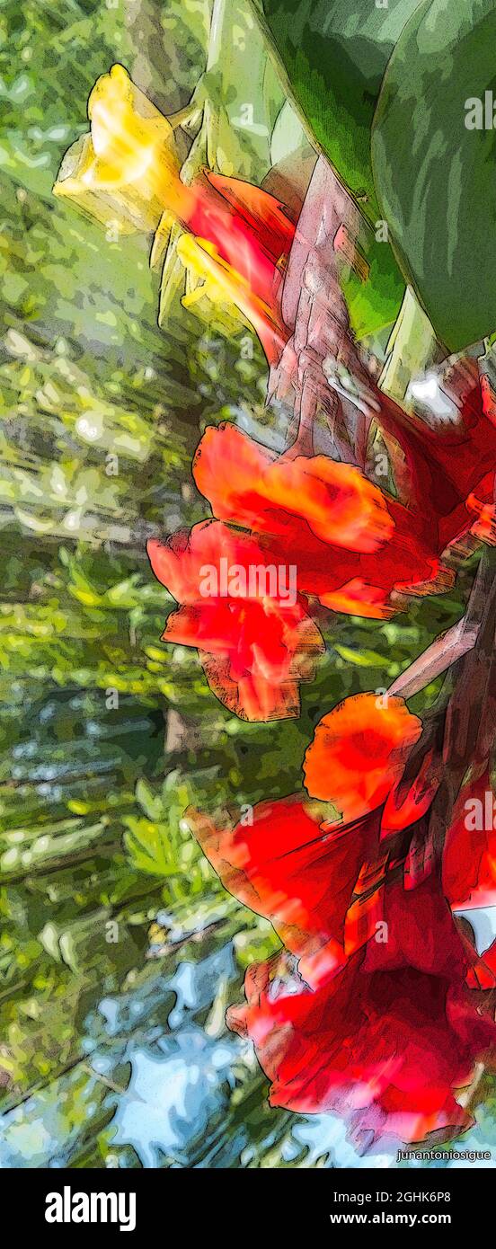 abstract background for frame, decoration Stock Photo - Alamy