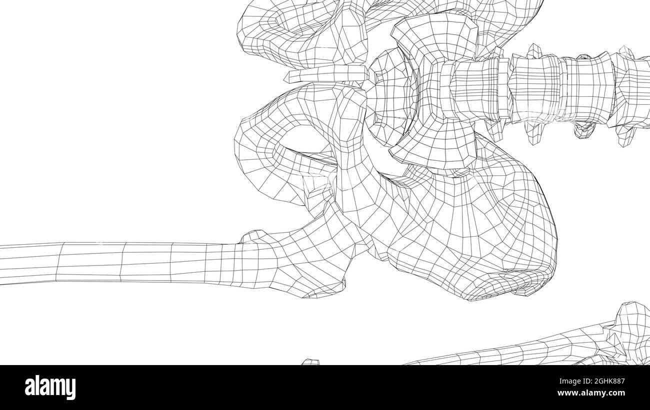 Human skeleton. Vector Stock Vector Image & Art - Alamy