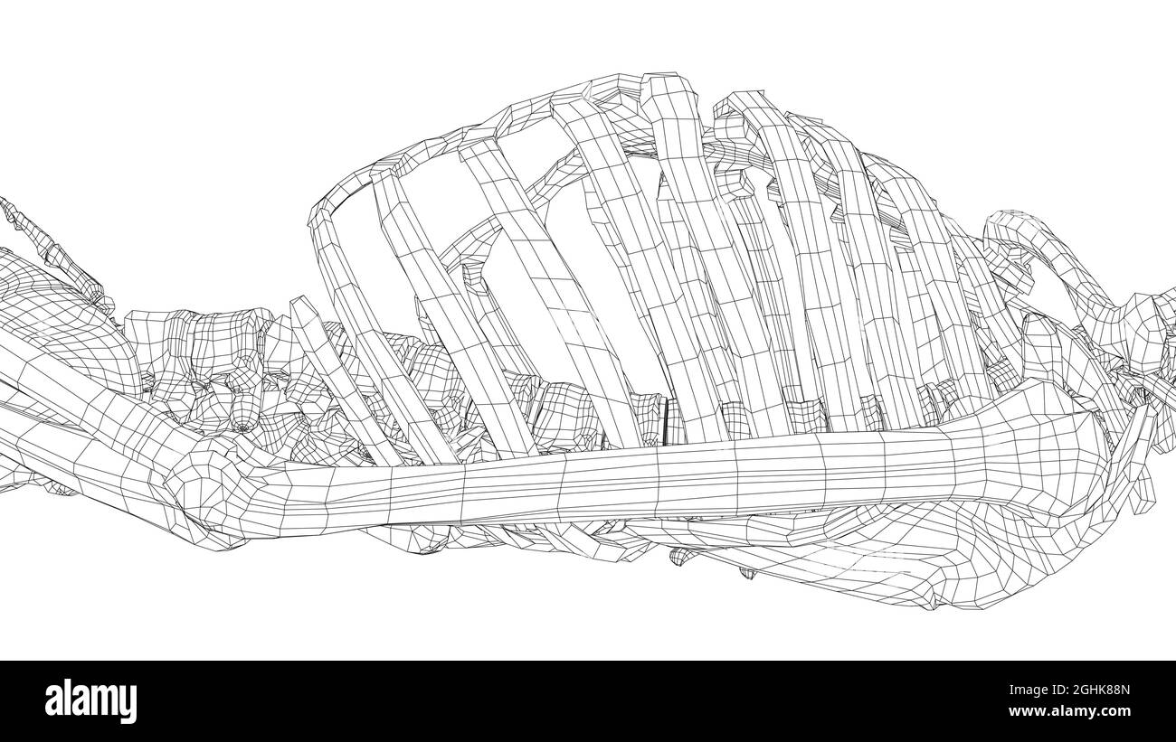 Human skeleton. Vector Stock Vector Image & Art - Alamy