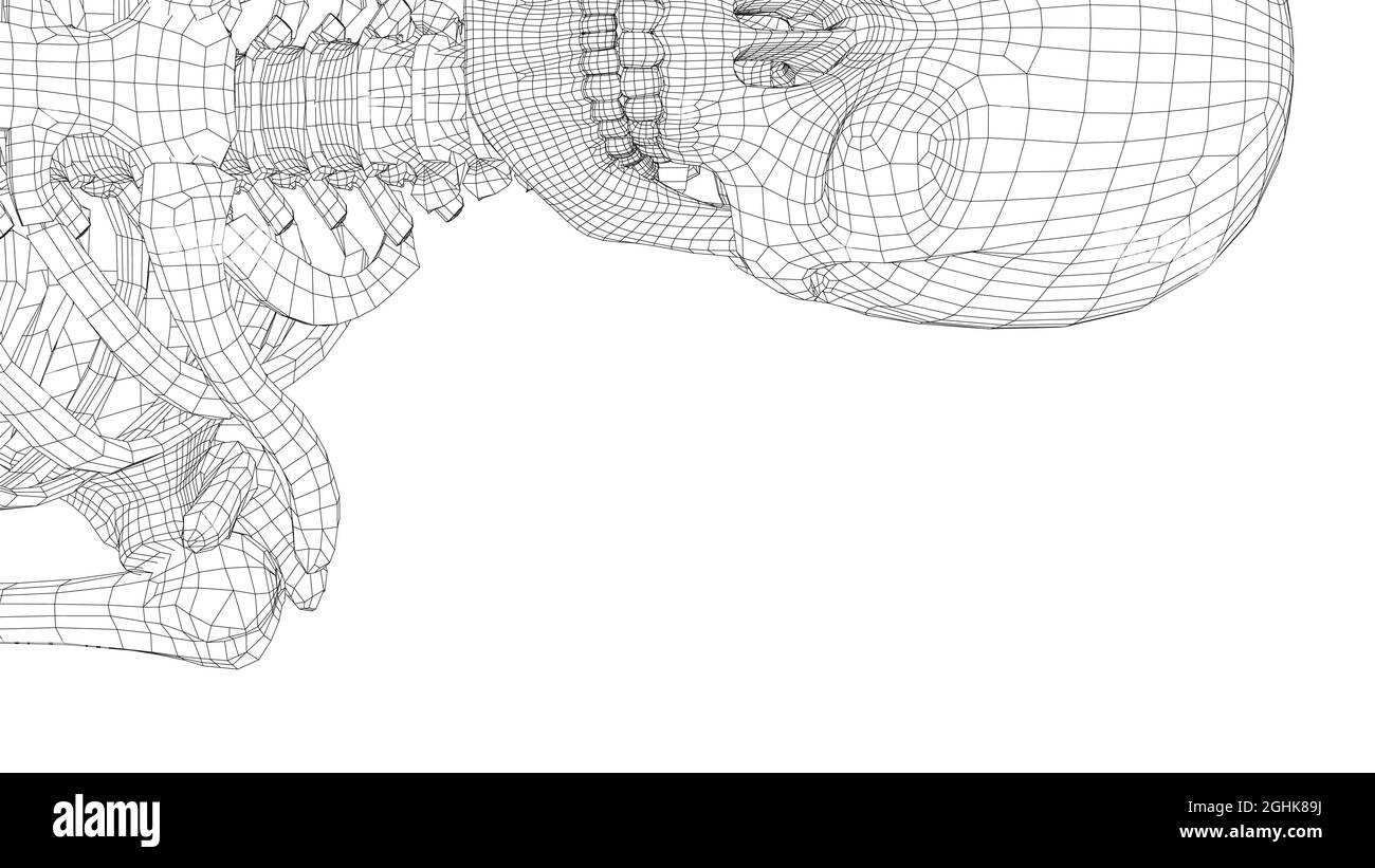 Human skeleton. Vector Stock Vector Image & Art - Alamy