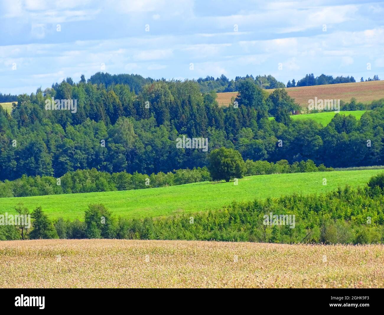 Rural landscape forests grass fields hi-res stock photography and ...