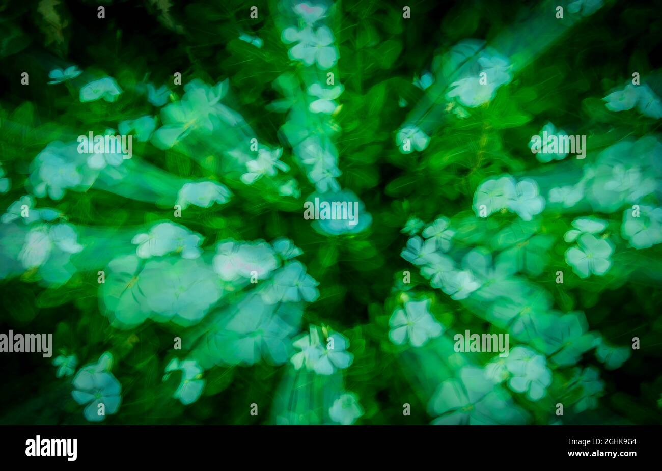 abstract background for frame, decoration Stock Photo - Alamy