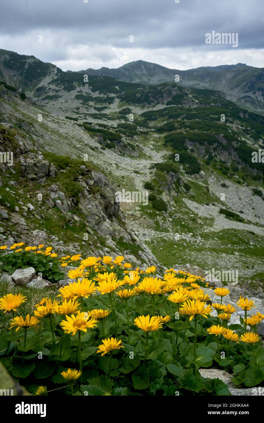 Landscape from Parang mountains from Romania Stock Photo - Alamy