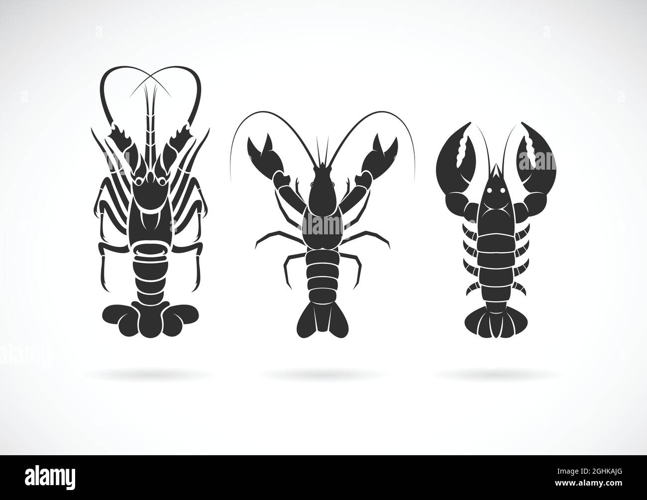 Group of lobster design on white background. Sea Animal. Seafood ...