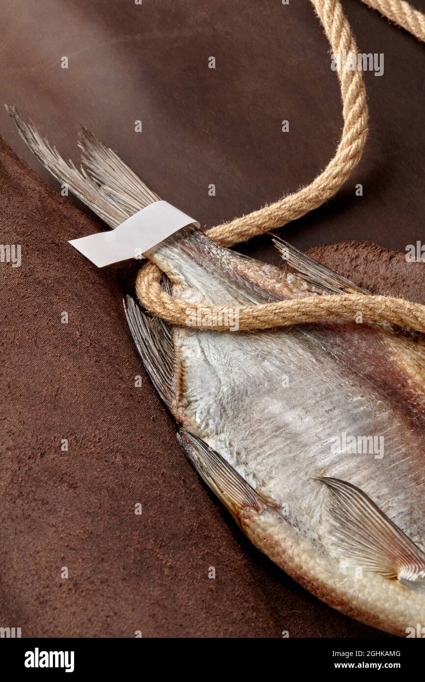 Air-dried roach tail with paper label and coarse rope on brown leather ...