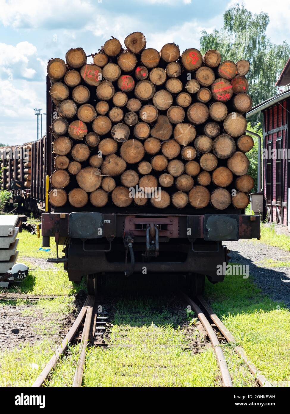 Freight cars loaded with wood logs on railway tracks. Transportation of ...