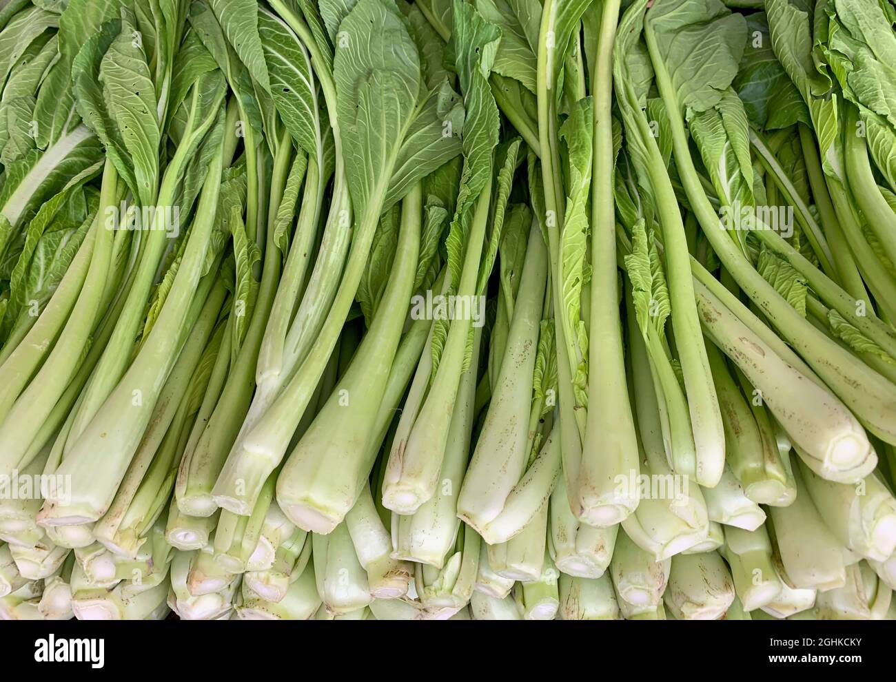 Fresh green mustard (Brassica juncea) on vegetables market Stock Photo ...