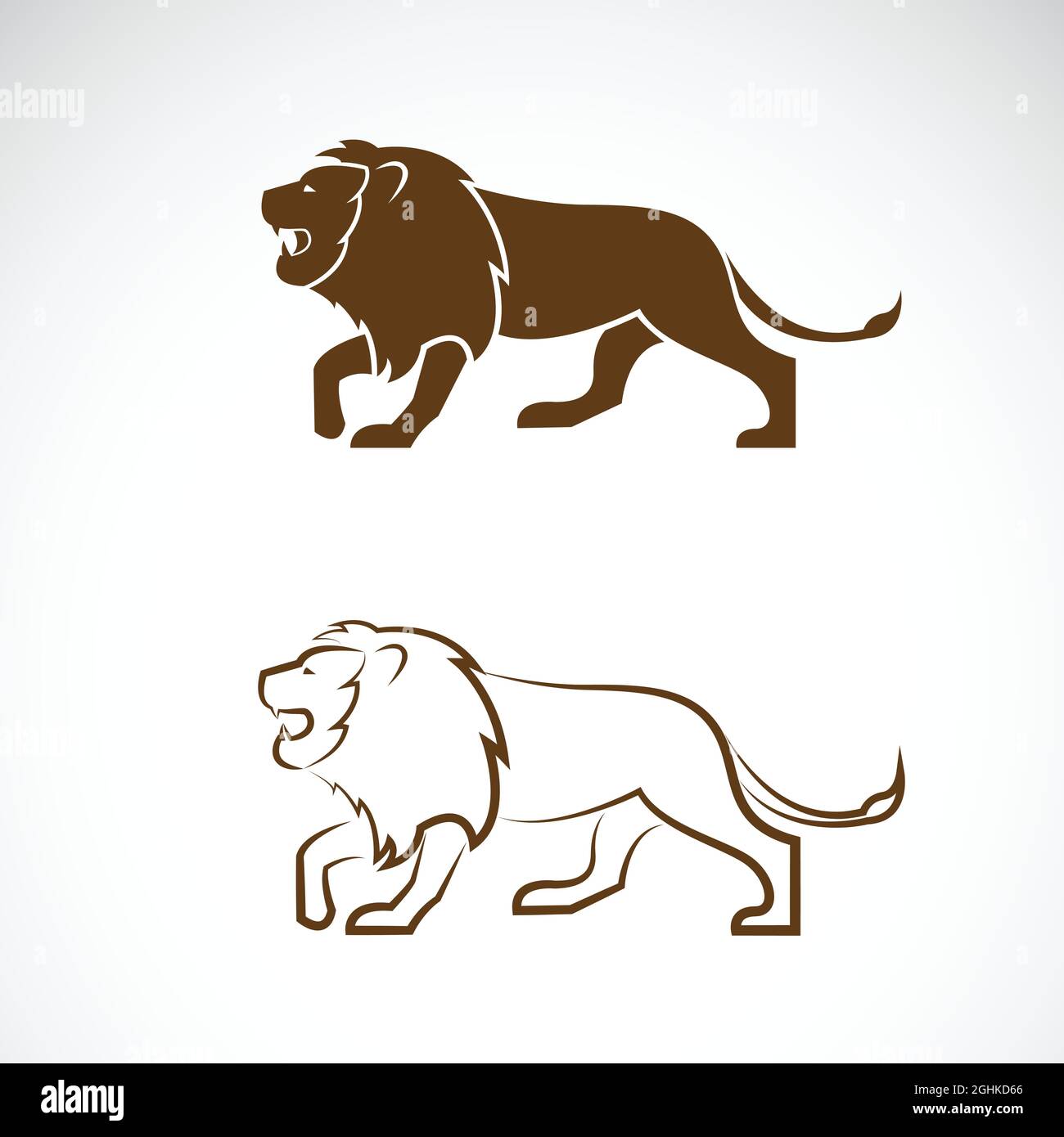 Vector of a male lion design on white background. Wild Animals. Easy ...