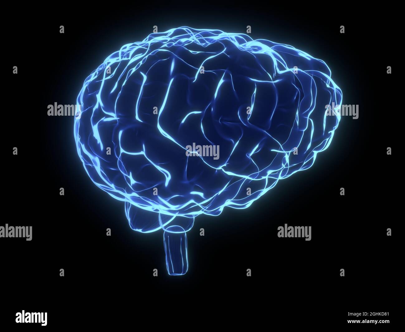 Human brain as x-ray illustration - 3D illustration Stock Photo - Alamy