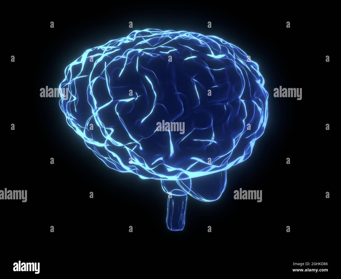 Human brain as x-ray illustration - 3D illustration Stock Photo - Alamy