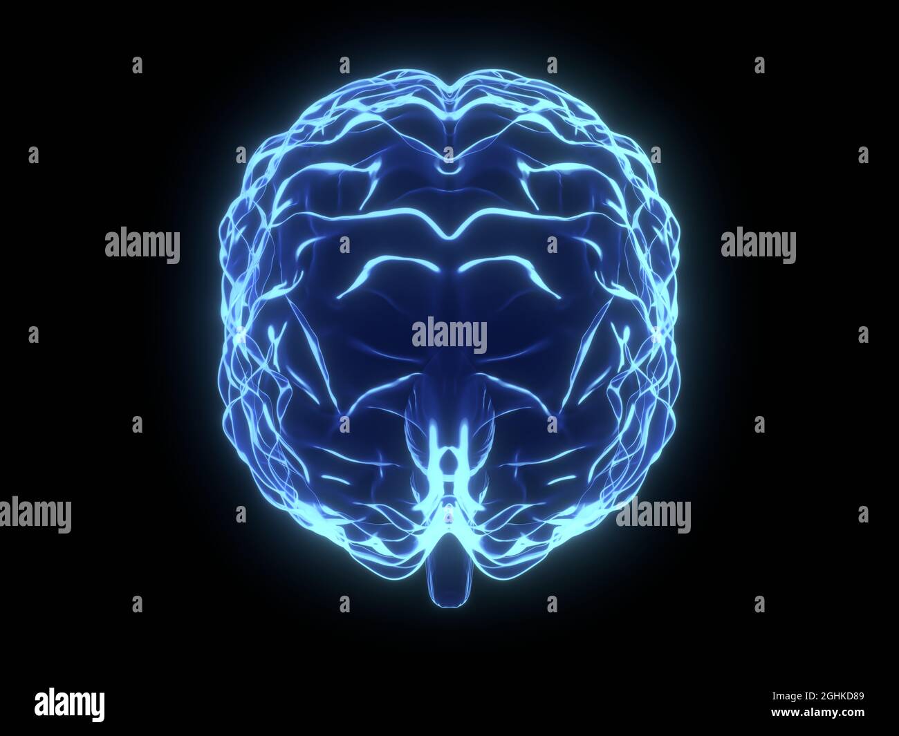 Human brain as x-ray illustration - 3D illustration Stock Photo - Alamy