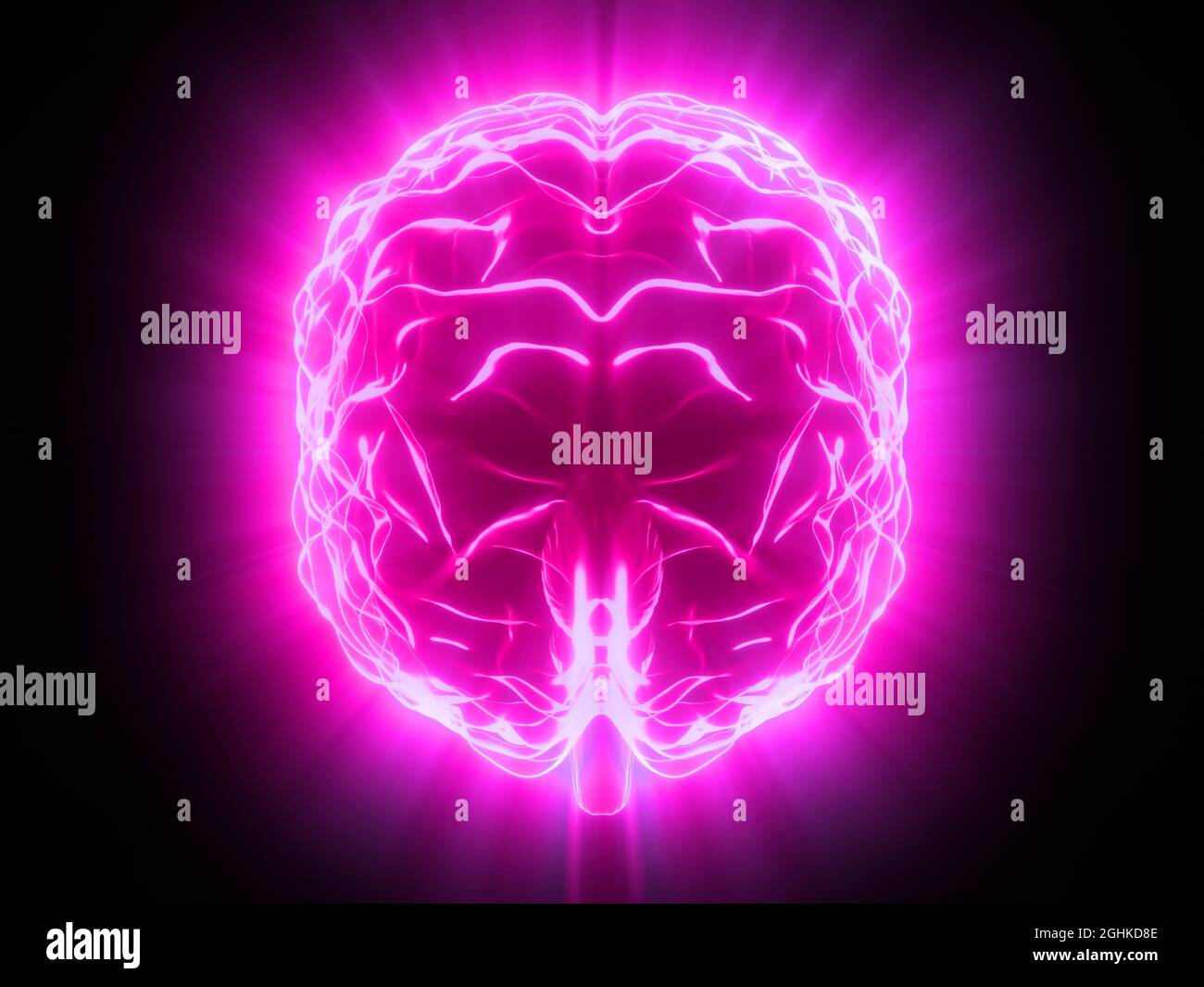 Human brain isolated on black background - 3D illustration Stock Photo ...