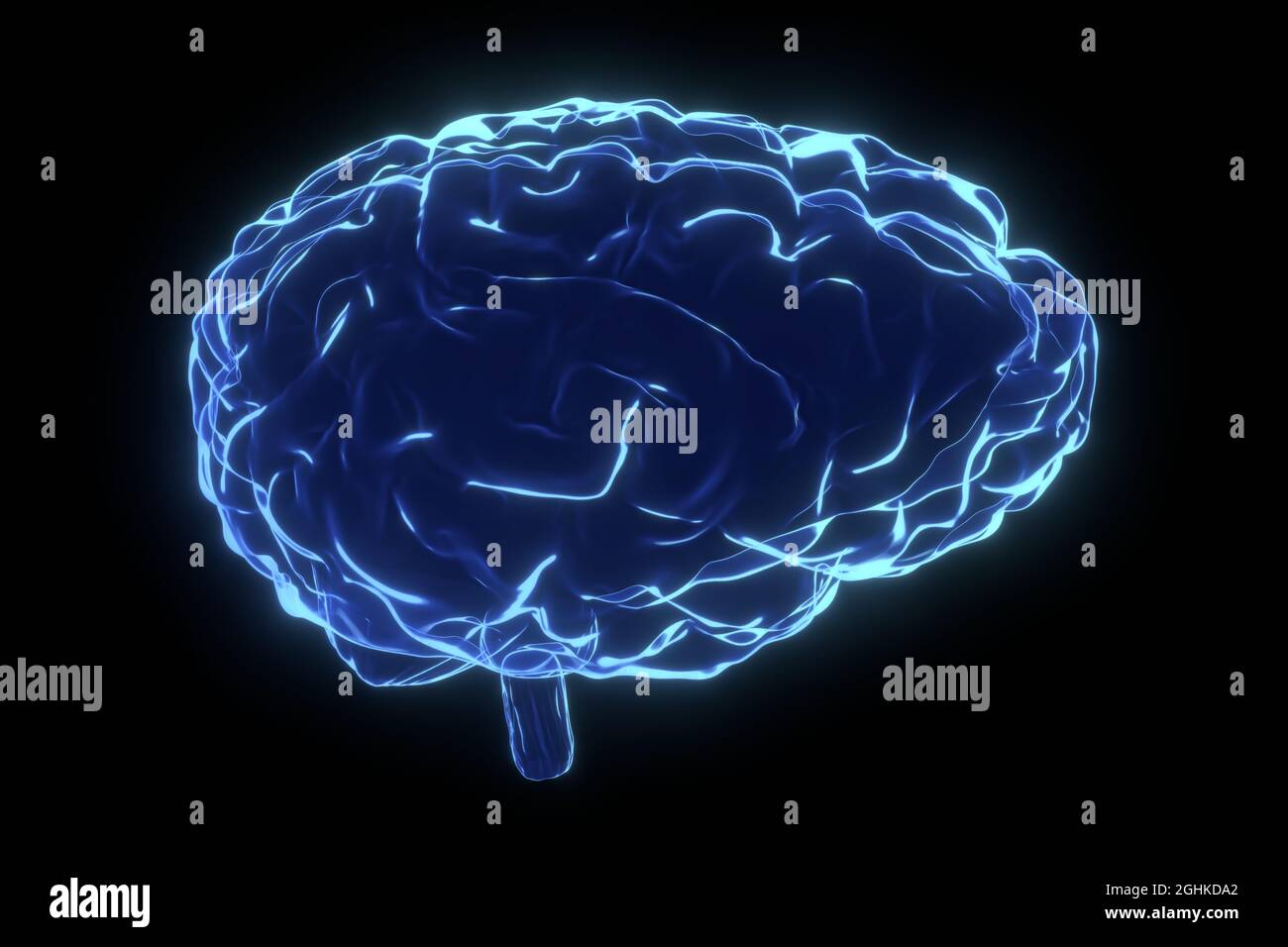 Human brain as x-ray illustration - 3D illustration Stock Photo - Alamy