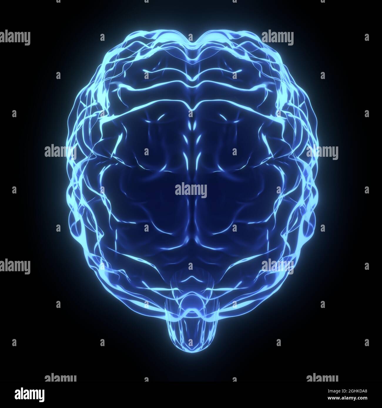 Human brain as x-ray illustration - 3D illustration Stock Photo - Alamy