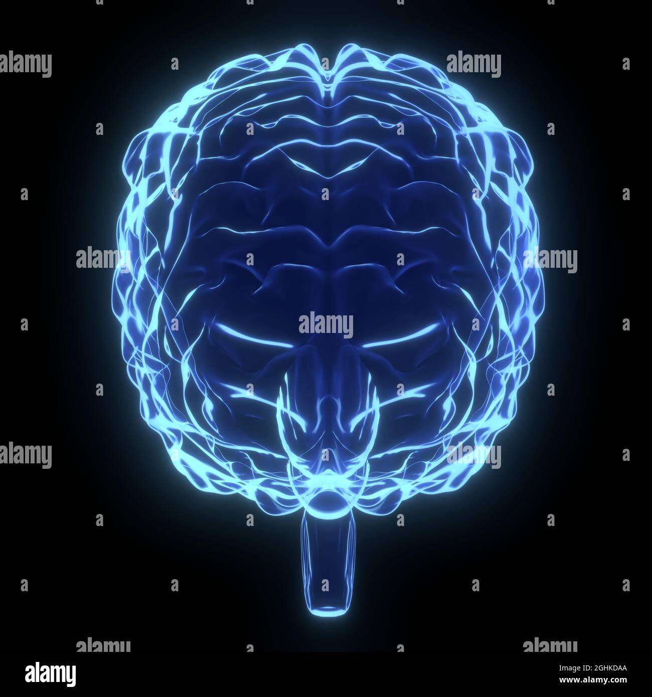 Human brain tissue, cerebral cortex hi-res stock photography and images ...