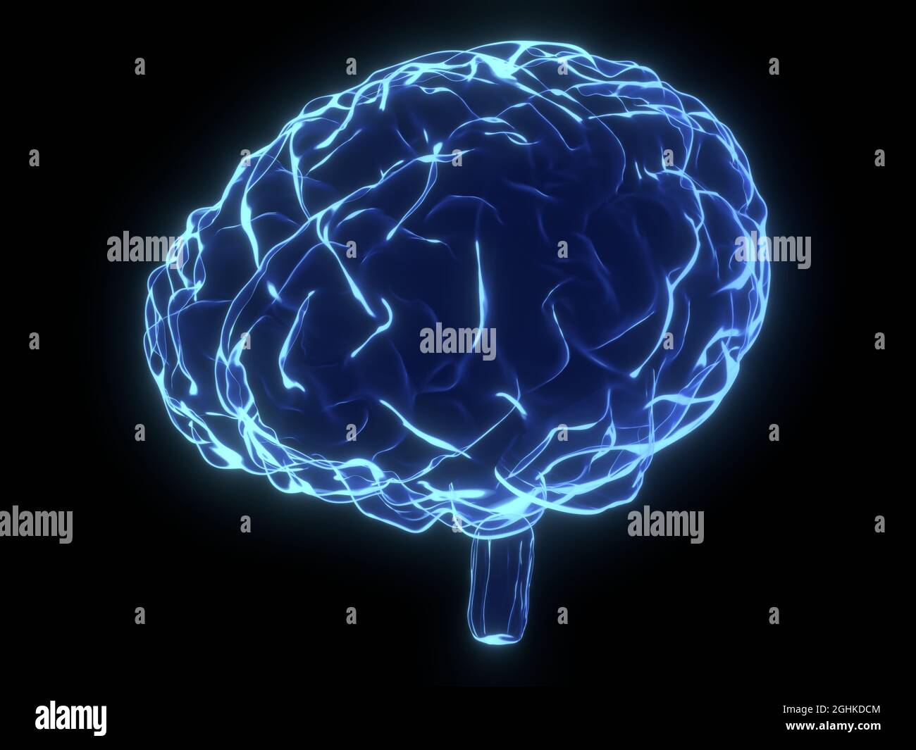 Human brain as x-ray illustration - 3D illustration Stock Photo - Alamy