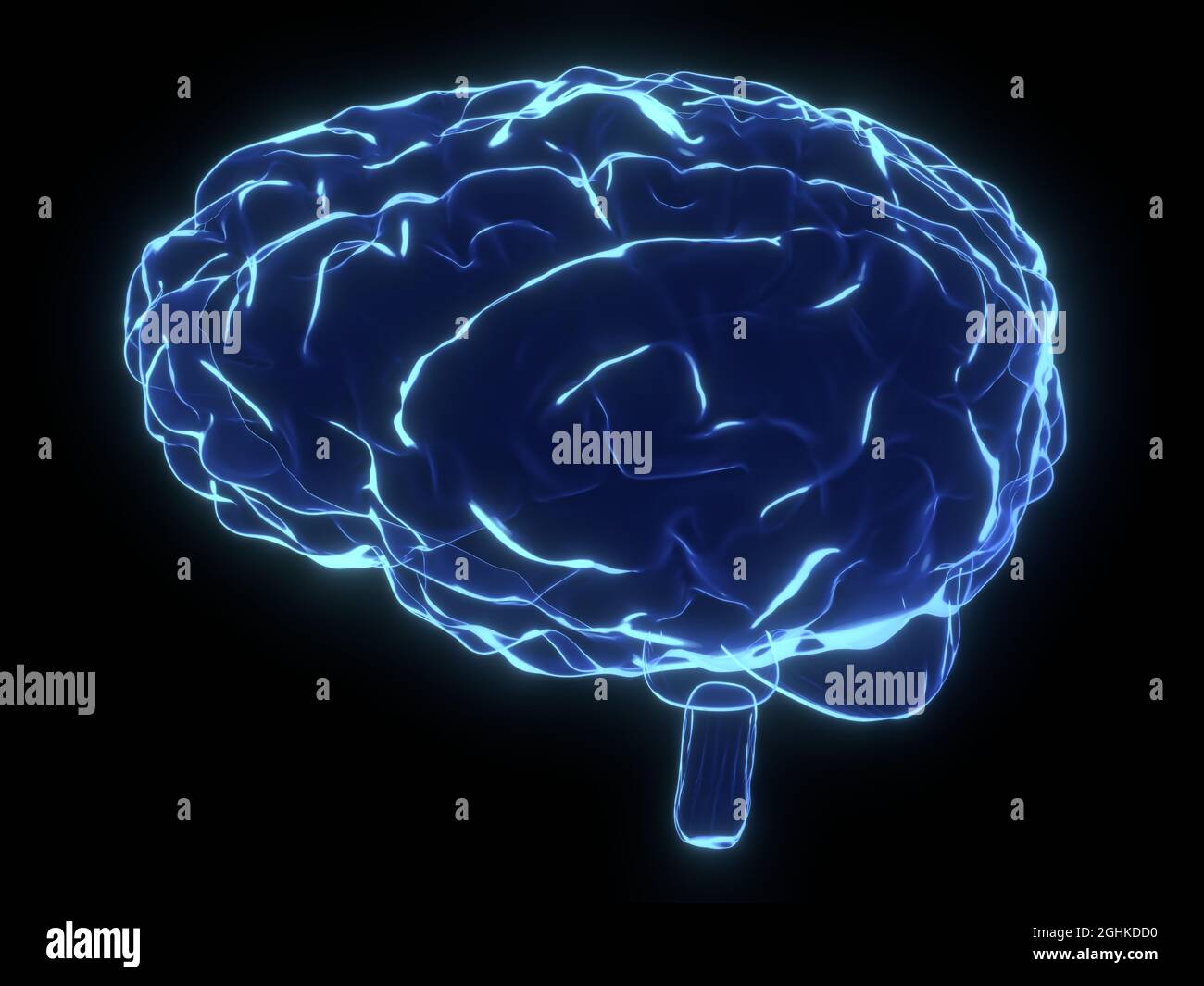 Human brain as x-ray illustration - 3D illustration Stock Photo - Alamy