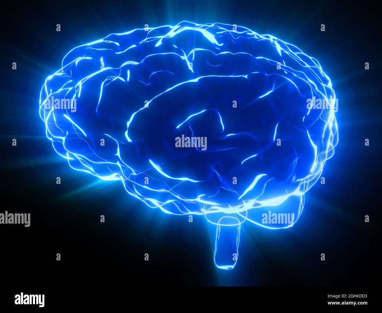 Human brain isolated on black background - 3D illustration Stock Photo ...