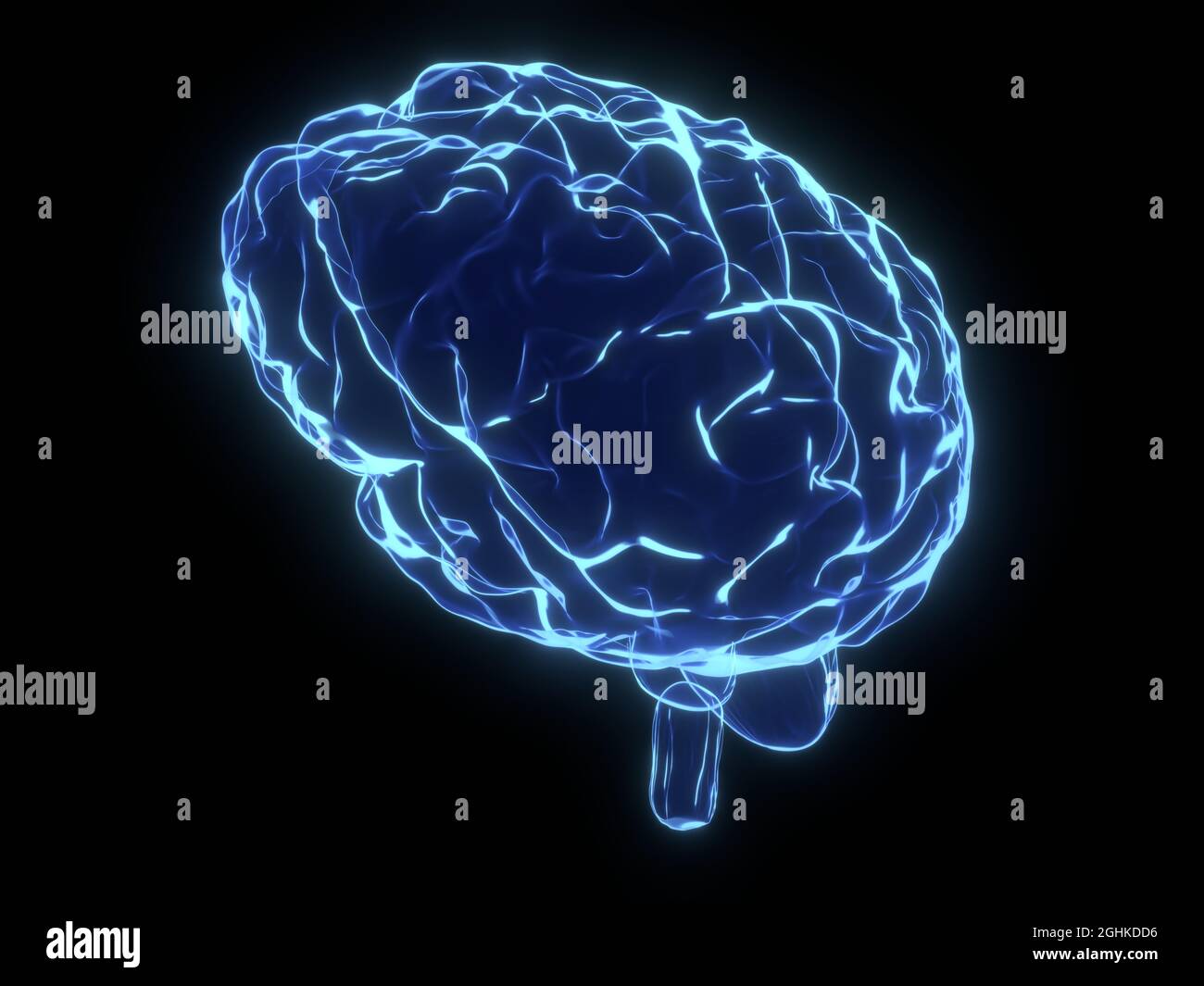 Human brain as x-ray illustration - 3D illustration Stock Photo - Alamy
