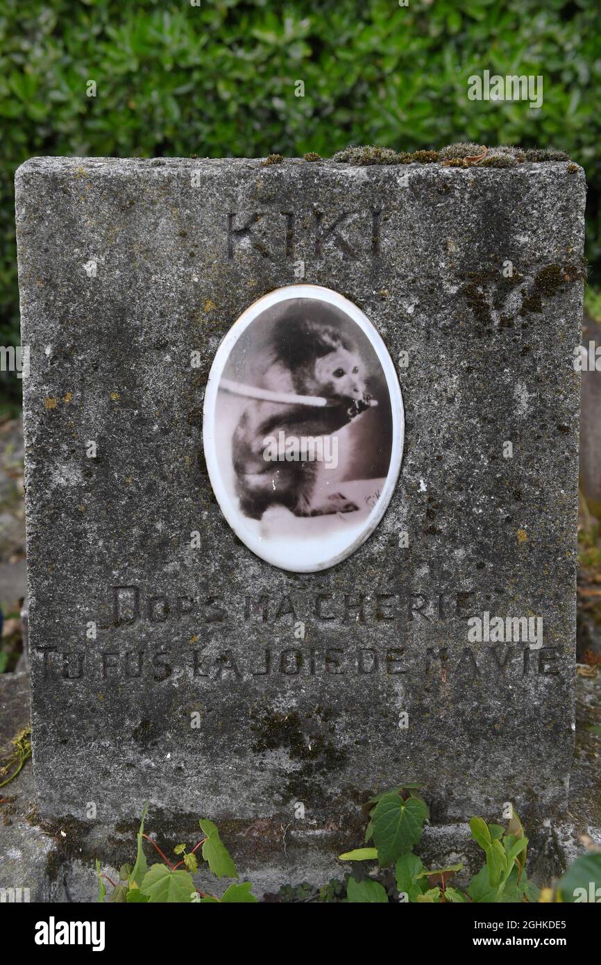Tomb of a monkey named Kiki in the 'Cimetiere des Chiens'in Asnieres ...