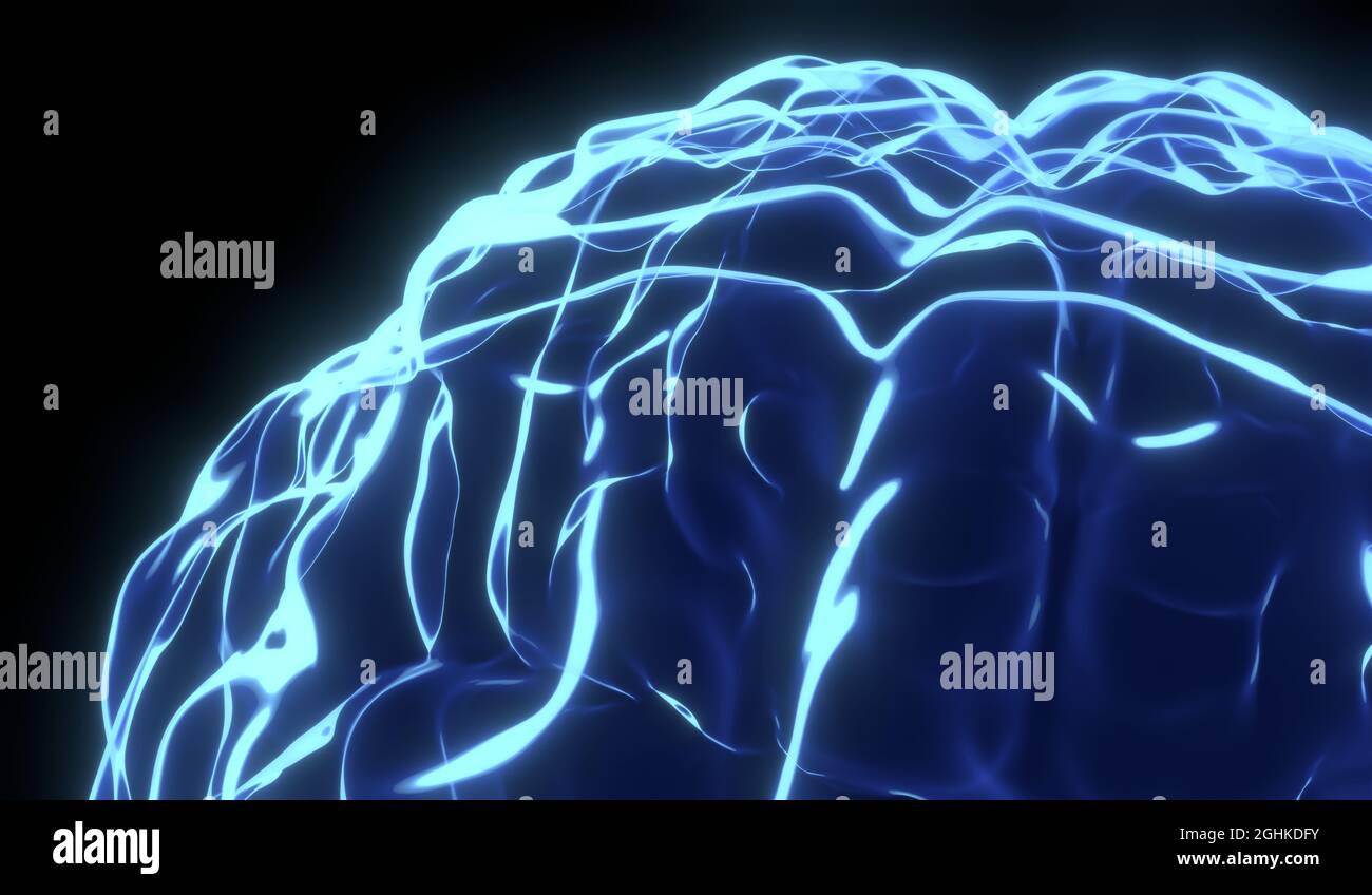 Human brain as x-ray illustration - 3D illustration Stock Photo - Alamy