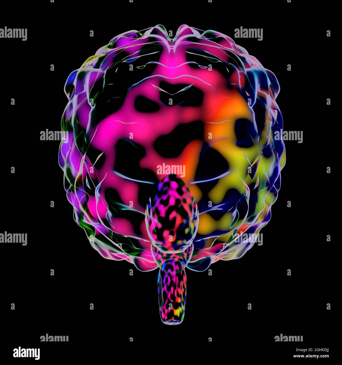 Human brain isolated on black background - 3D illustration Stock Photo ...