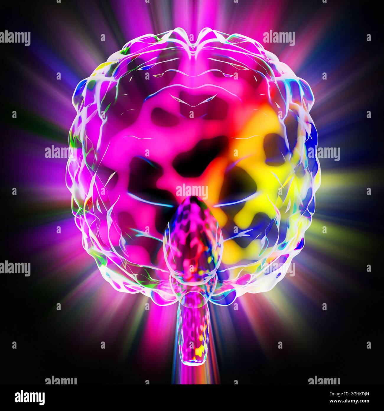 3d human body x rays 3d hi-res stock photography and images - Alamy