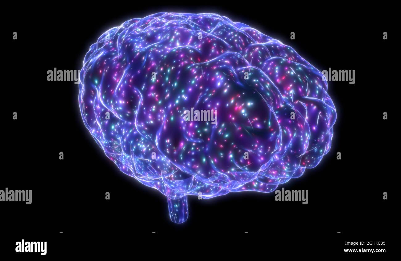 Human brain isolated on black background - 3D illustration Stock Photo ...