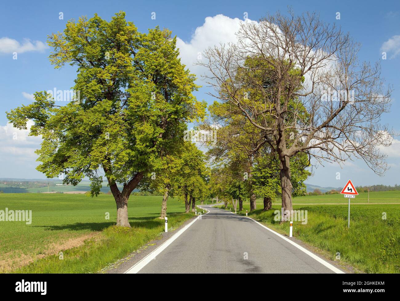 spring time or springy alley and road, beautiful springtime view Stock ...