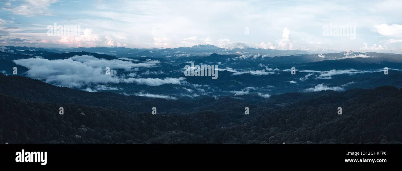 Pine forest in the mountains in the morning form above drone Stock ...