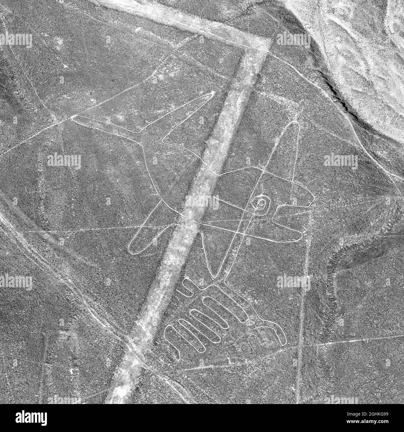 Tourist lines Black and White Stock Photos & Images - Alamy