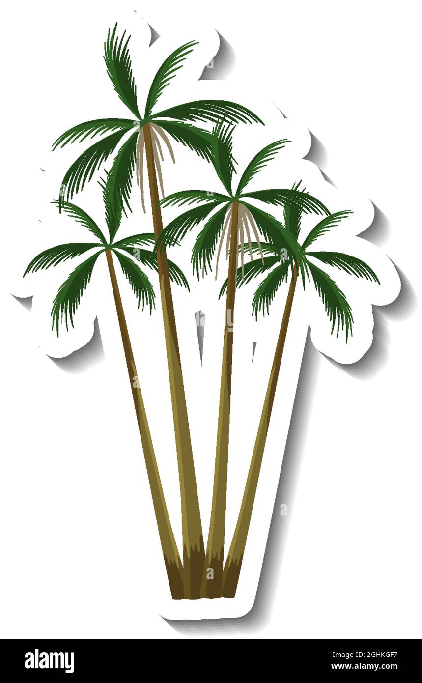 Sticker tropical coconut tree on white background illustration Stock ...