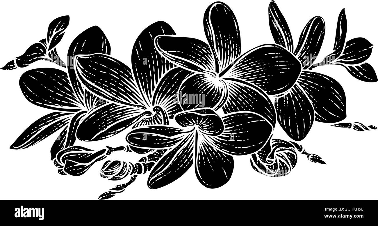 Floral etching tropical hi-res stock photography and images - Alamy