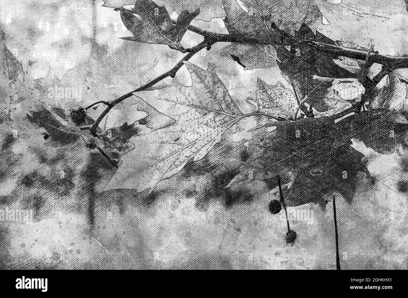 Landscape digital painting Black and White Stock Photos & Images - Alamy