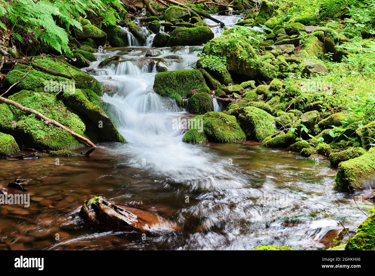 Epic waterfall in summer forest hi-res stock photography and images - Alamy