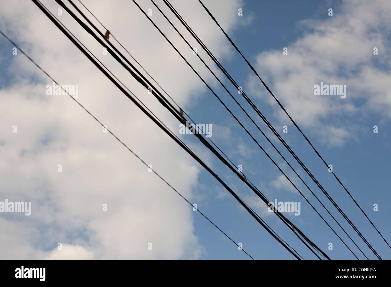 Wires in the sky. Lots of internet cables. Electricity is distributed ...
