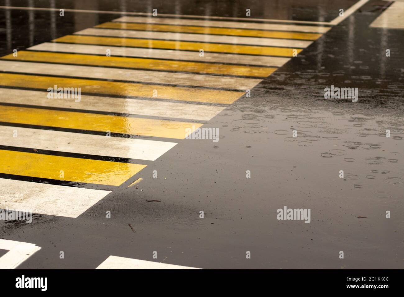 Rain outside. Pedestrian crossing in rainy weather. Markings for ...