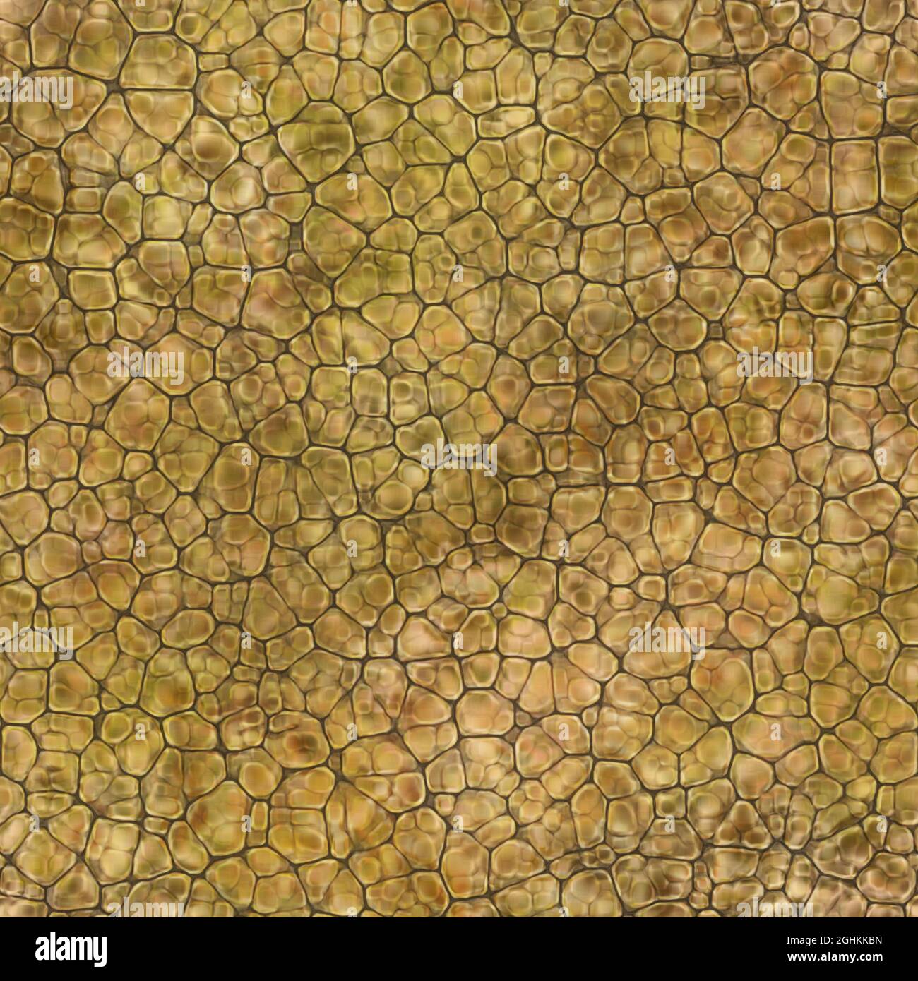 Cartoon seamless texture of color fantasy cobble stone ground pavement ...