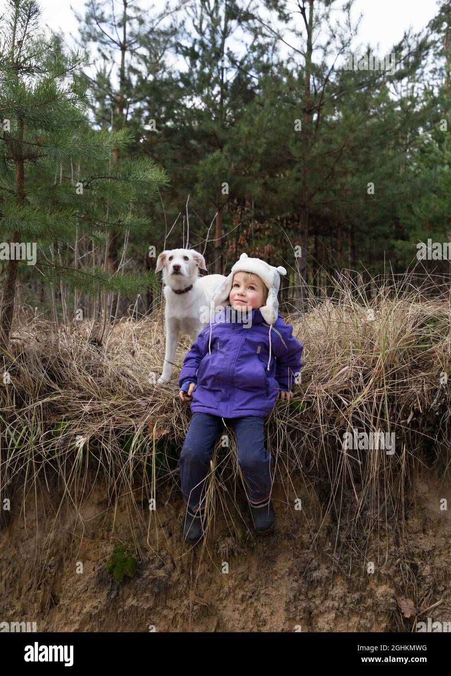 Four Legged Animals Running