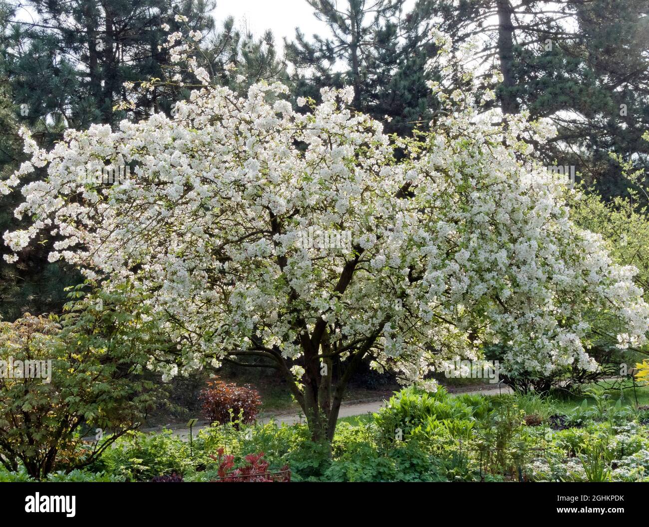 Evereste High Resolution Stock Photography and Images - Alamy