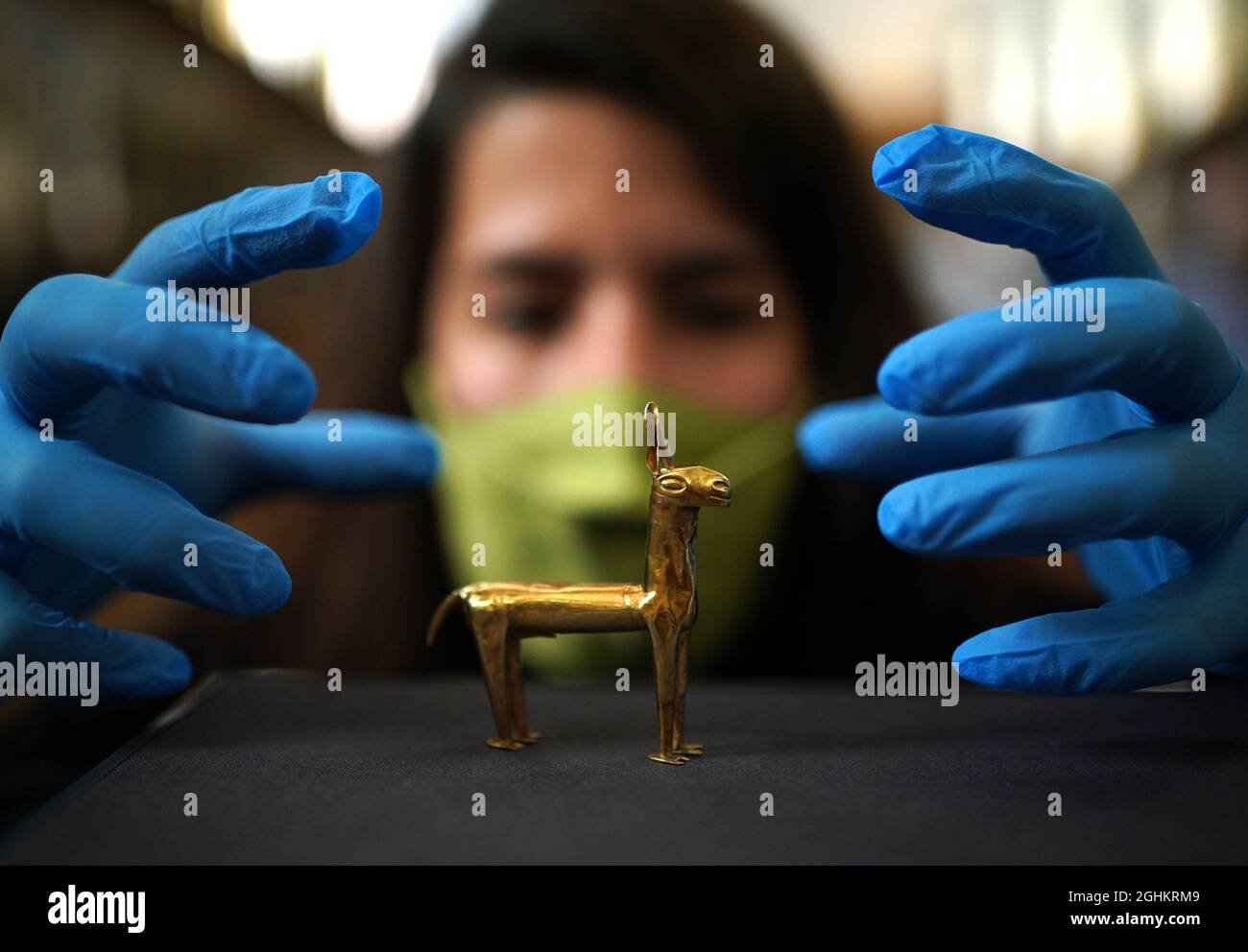 Gold inca llama hi-res stock photography and images - Alamy