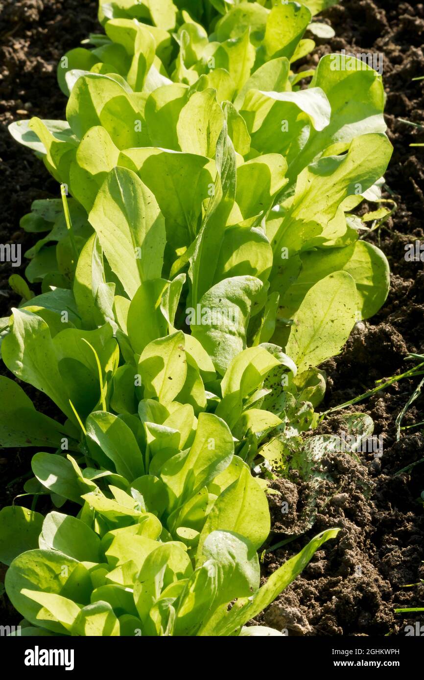 Granon High Resolution Stock Photography and Images - Alamy