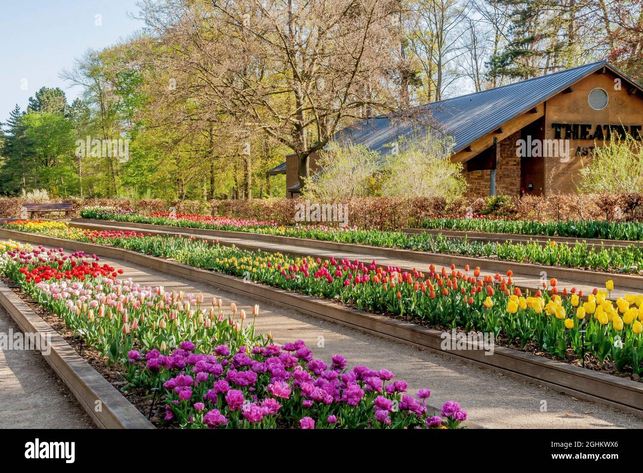 Exposition de tulipes, Parc Floral Vincennes, Paris, France Stock Photo ...