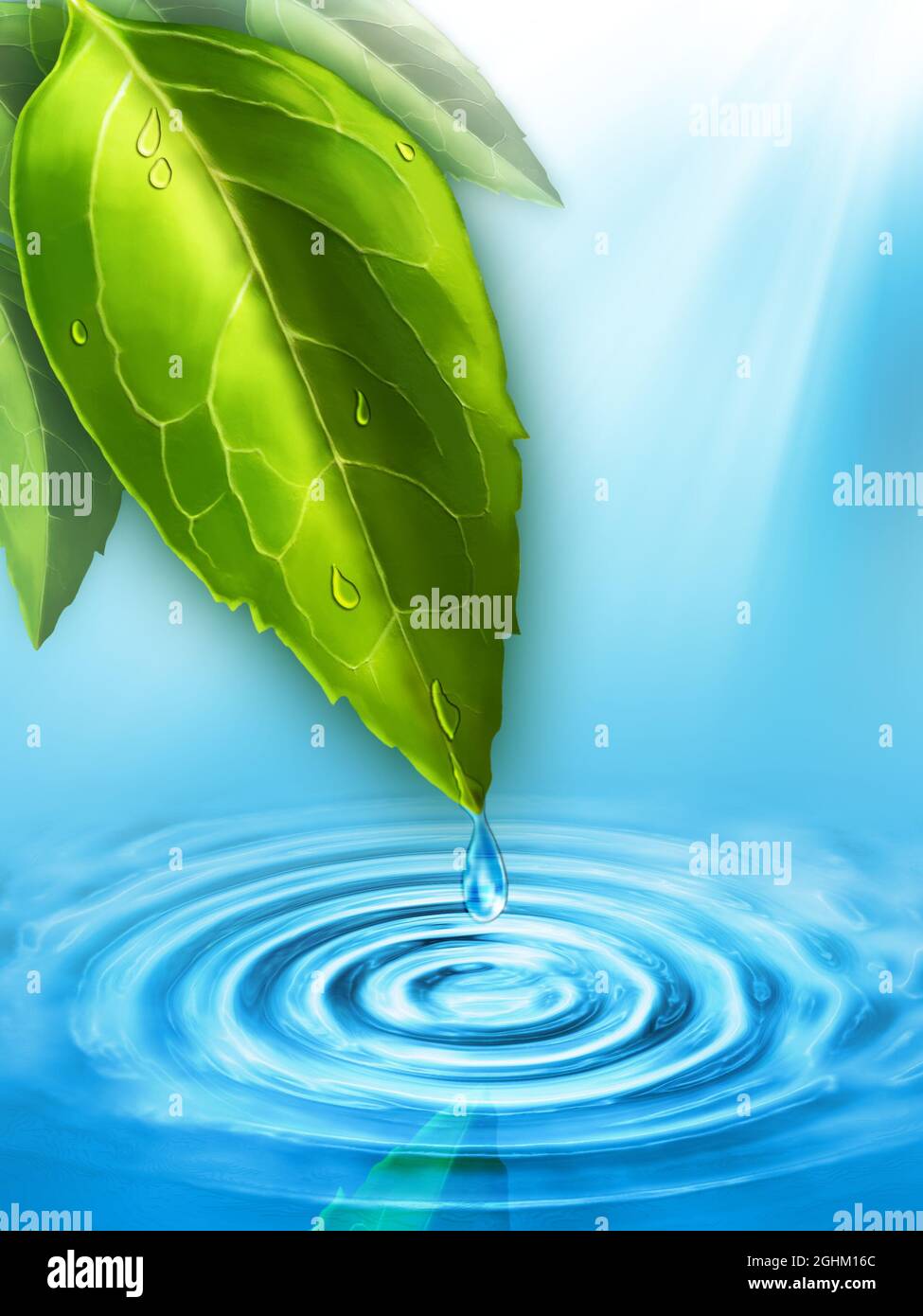 Water drops falling from a leaf into a pond. Digital illustration Stock ...