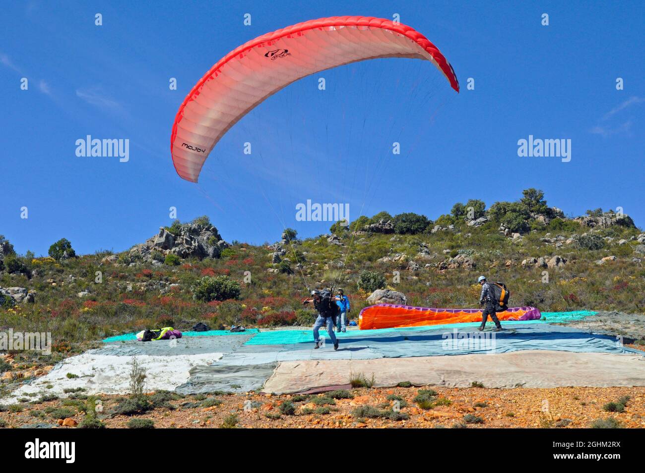 A paraglider prepares for take-off Stock Photo - Alamy
