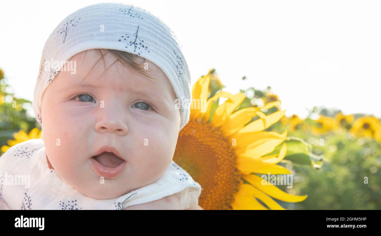 Baby and sunflower field hi-res stock photography and images - Alamy