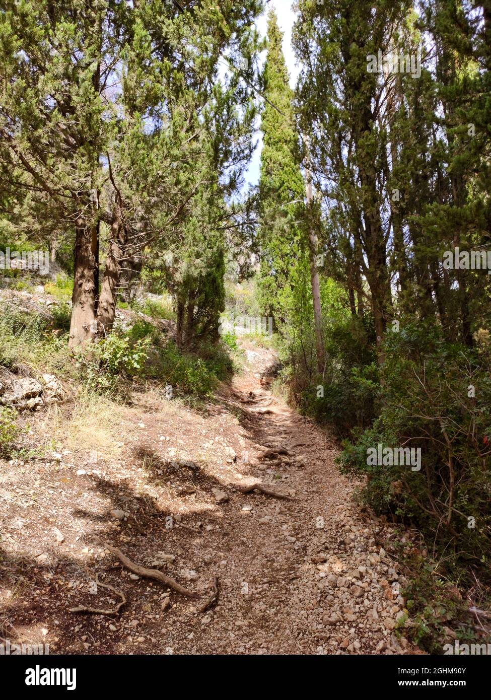 Tall grass path greece hi-res stock photography and images - Alamy