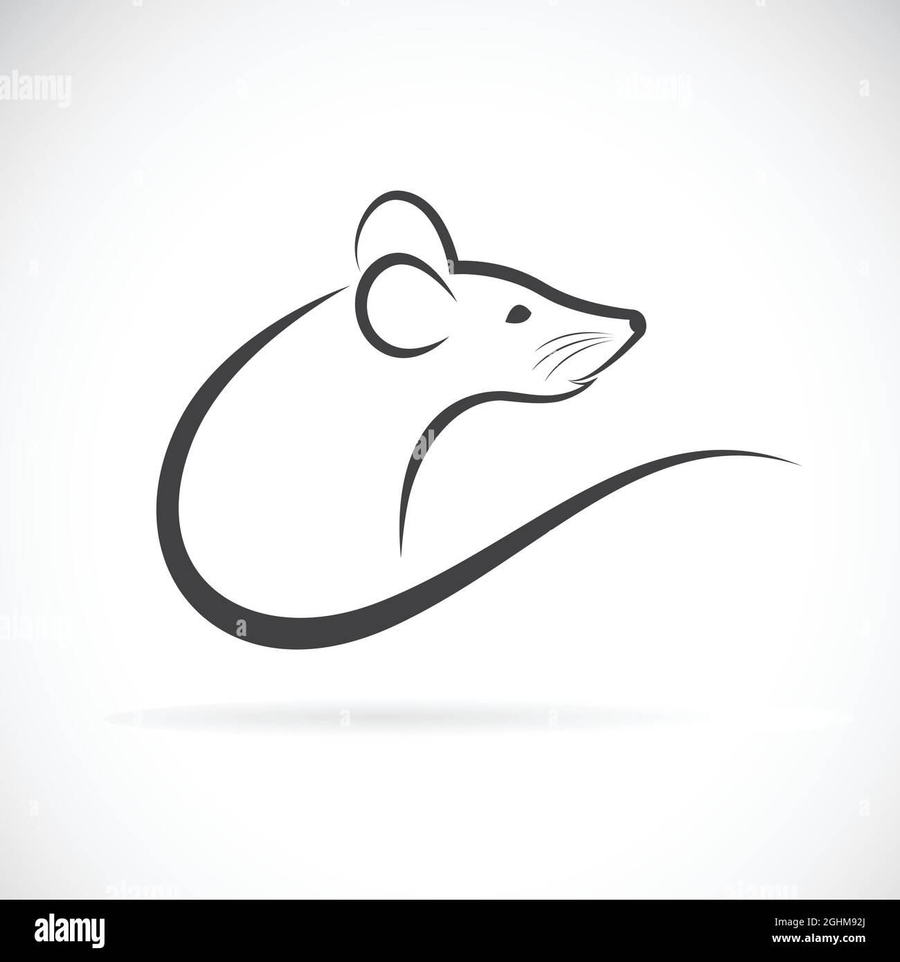 Vector of a rat design on a white background. Easy editable layered ...